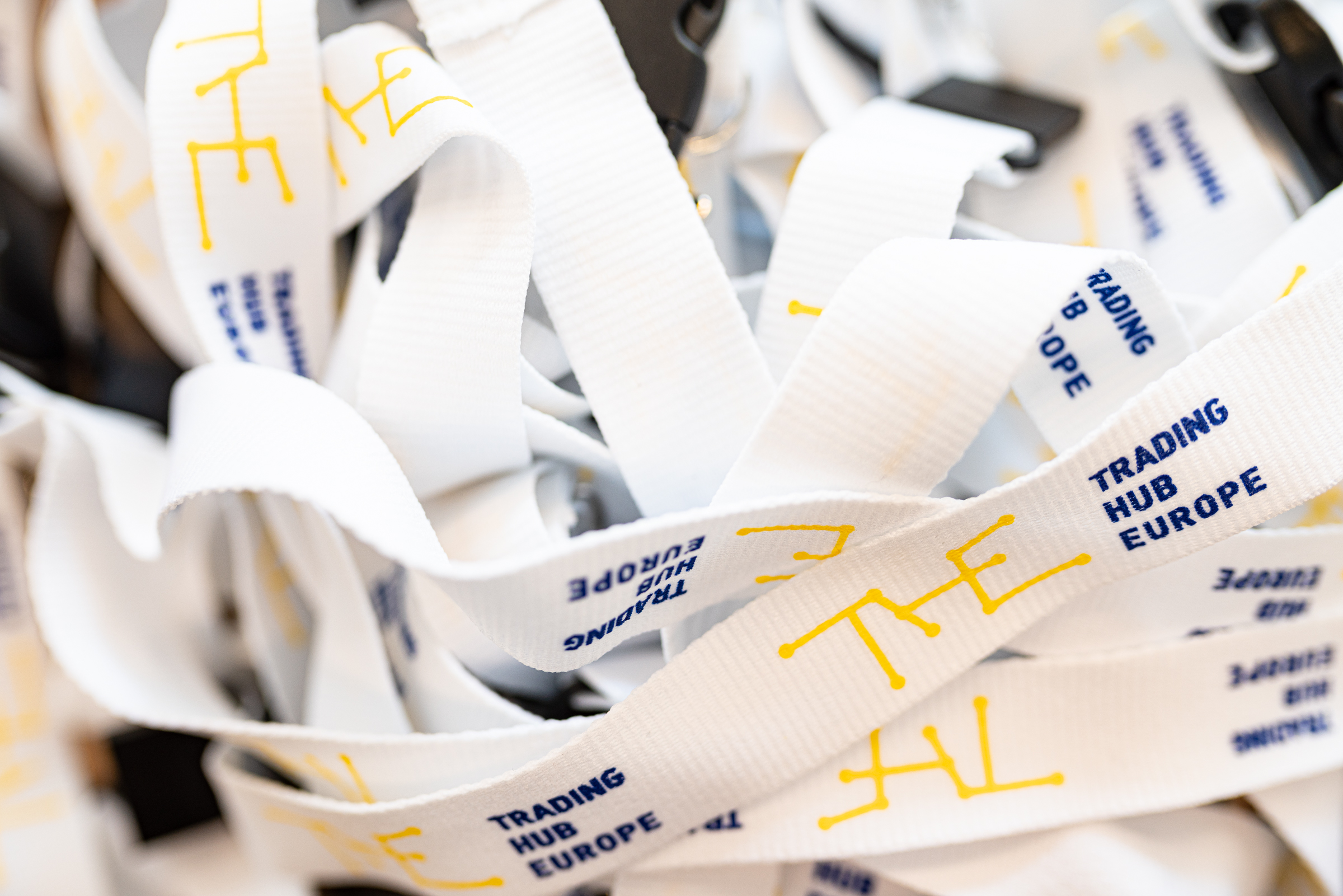 Trading Hub Europe > Home